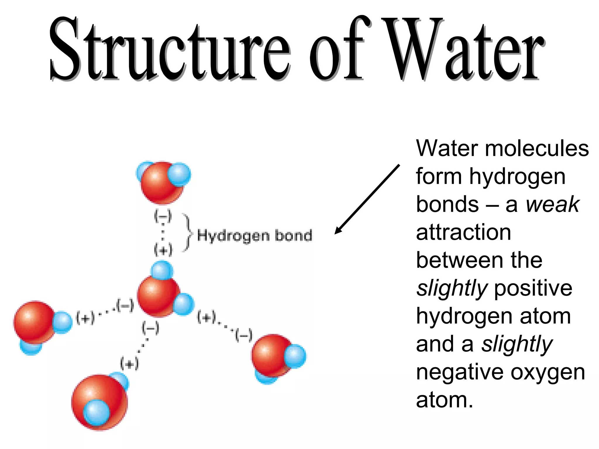 Properties Of Water | PPT