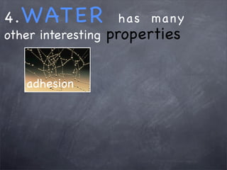 Properties Of Water | PDF