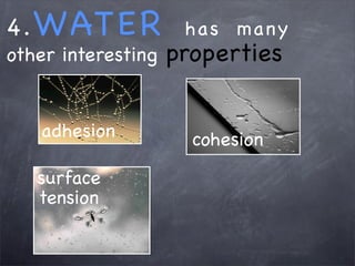 Properties Of Water | PDF