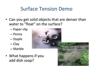 Properties of Water | PPT