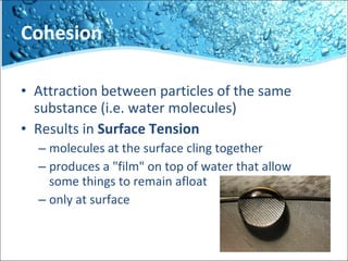 Properties of Water | PPT