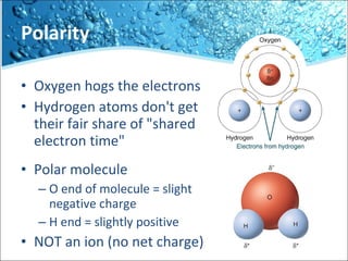 Properties of Water | PPT