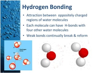 Properties of Water | PPT