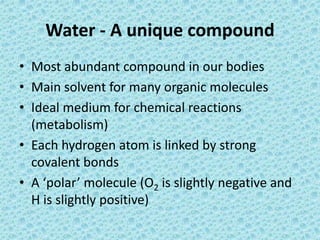 Properties of Water | PPTX
