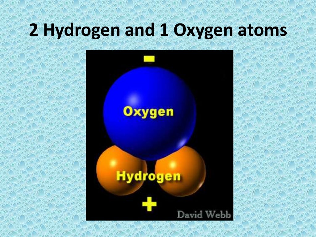 Properties Of Water Worksheet Biology Properties Of Water Worksheet Biology