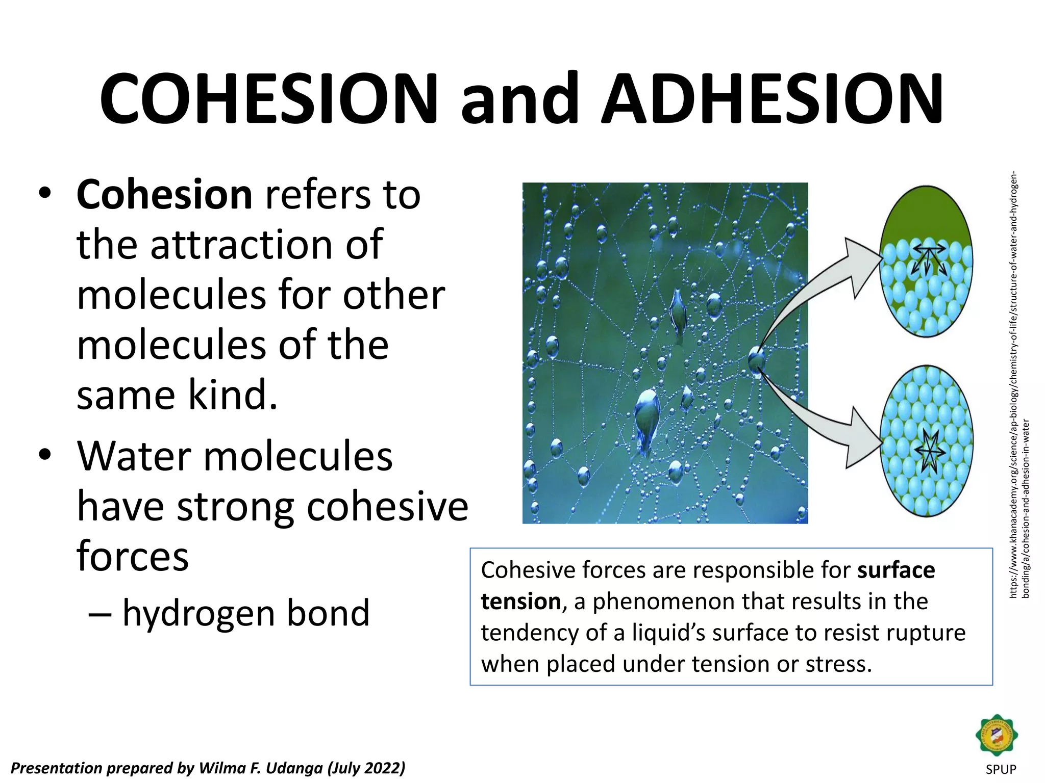 Properties of Water.pdf