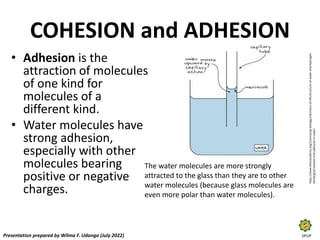Properties of Water.pdf
