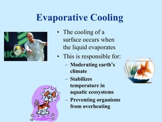 properties_of_water.ppt