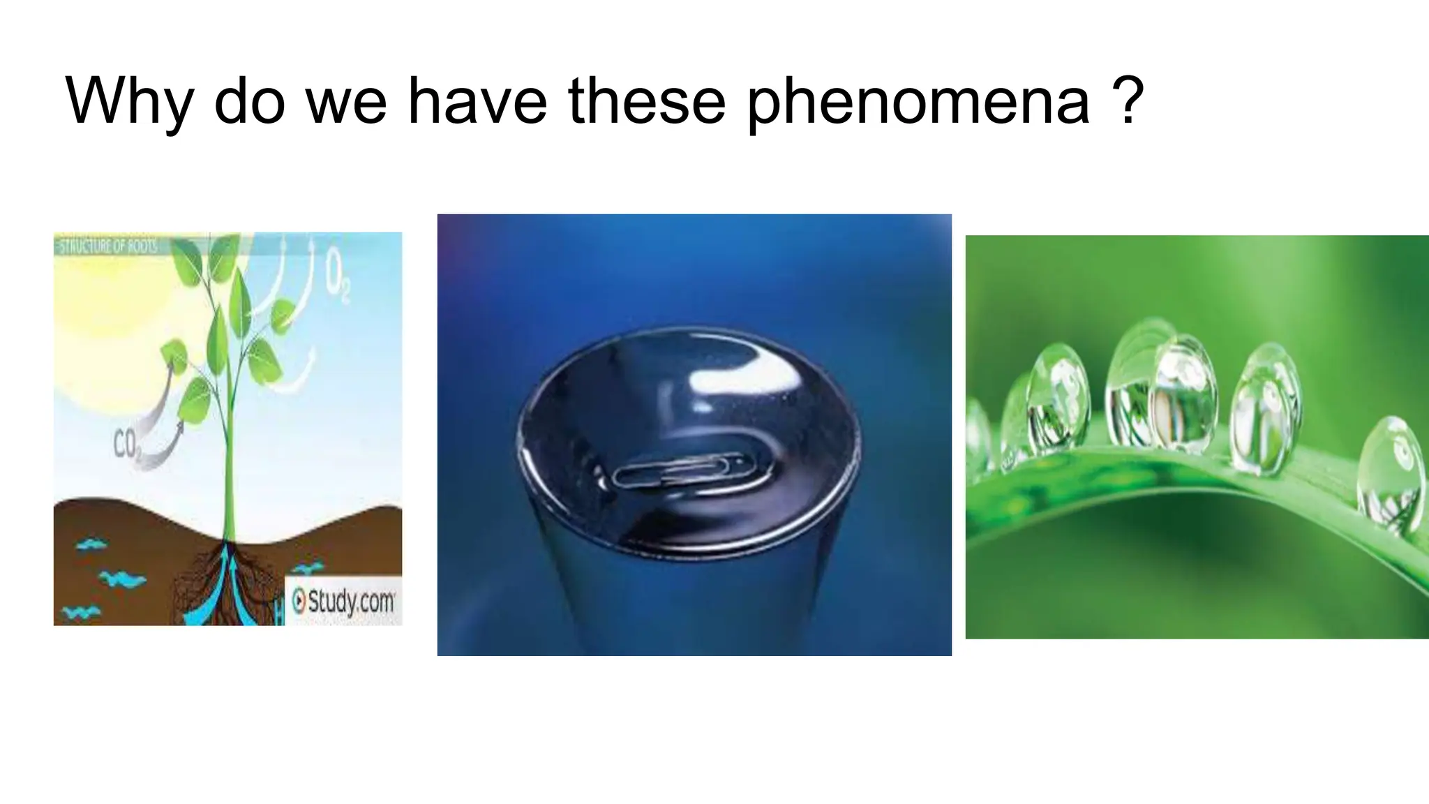 properties of water.ppt for grade 9 high school | PPT