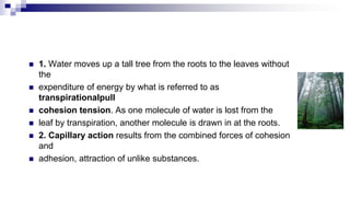 properties of water.ppt for grade 9 high school | PPT