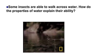 properties of water.ppt for grade 9 high school | PPT