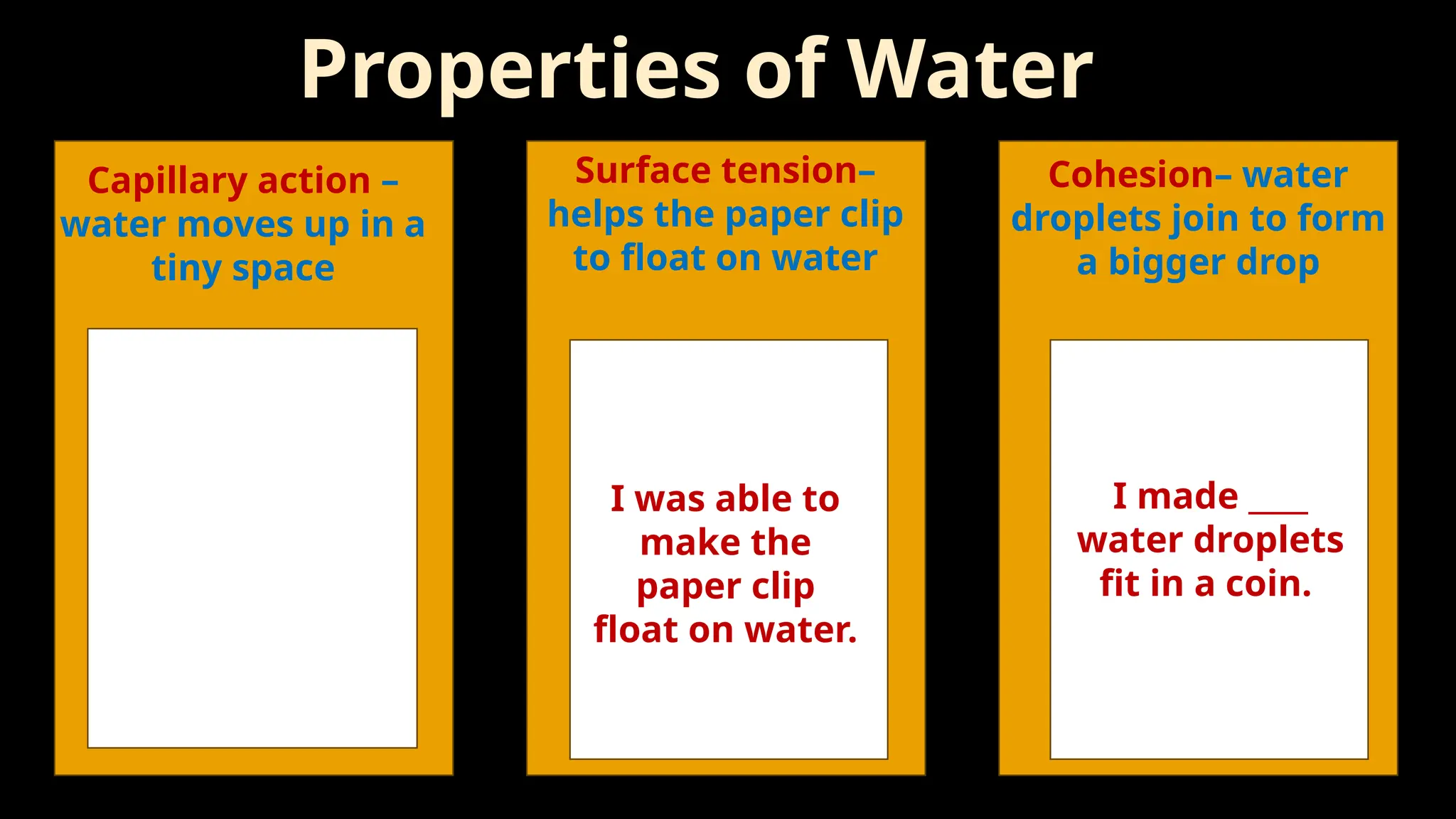 Science Experiment: Properties of Water.pptx