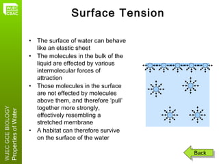 Properties of water1 | PPT