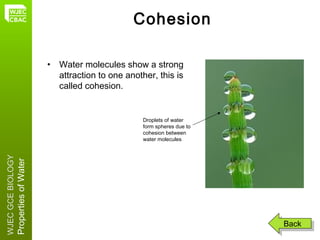 Properties of water1 | PPT