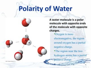 Properties of water and its global distribution | PPTX