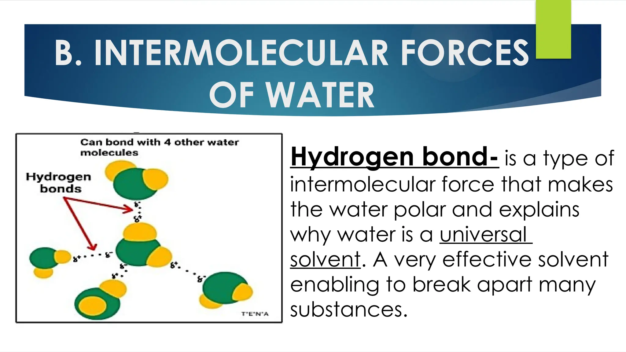 Properties of water final.pptxereeret555 | PPTX