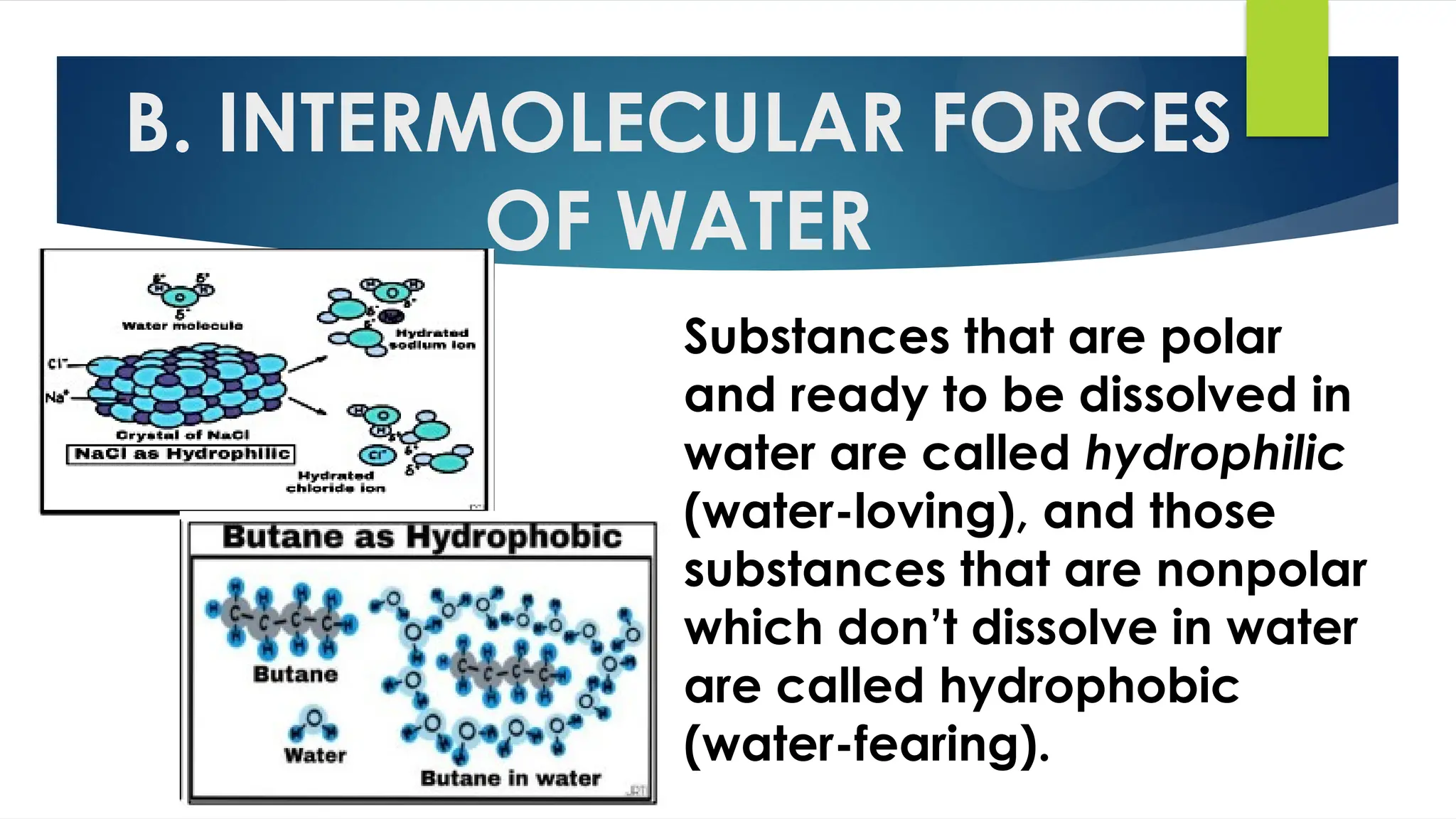 Properties of water final.pptxereeret555 | PPTX