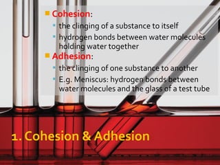 Properties of water lesson | PPT