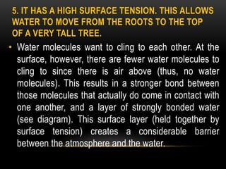 Properties of Water (Molecular Structure and Intermolecular pre ...