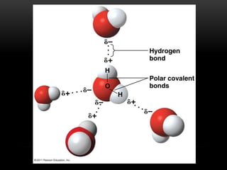 Properties of Water (Molecular Structure and Intermolecular pre ...