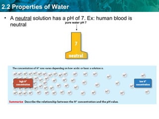 properties_of_water_notes.ppt hhfhfebbbvg | PPT