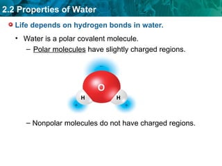 properties_of_water_notes.ppt hhfhfebbbvg | PPT