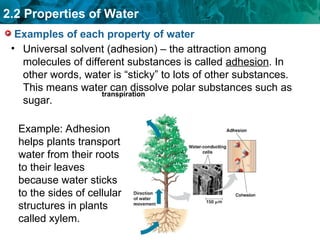 properties_of_water_notes.ppt hhfhfebbbvg | PPT