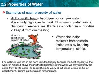properties_of_water_notes.ppt hhfhfebbbvg | PPT
