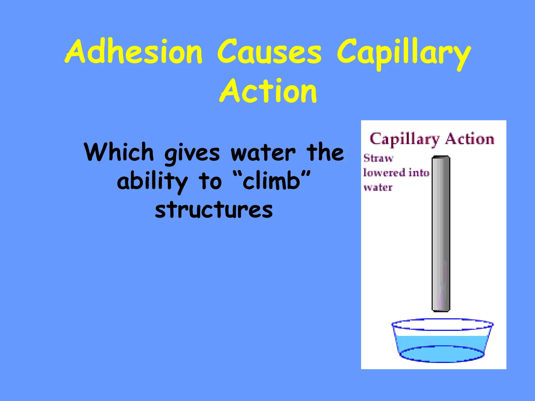 Properties of water notes.ppt.pptx Properties of water notes.ppt.pptx