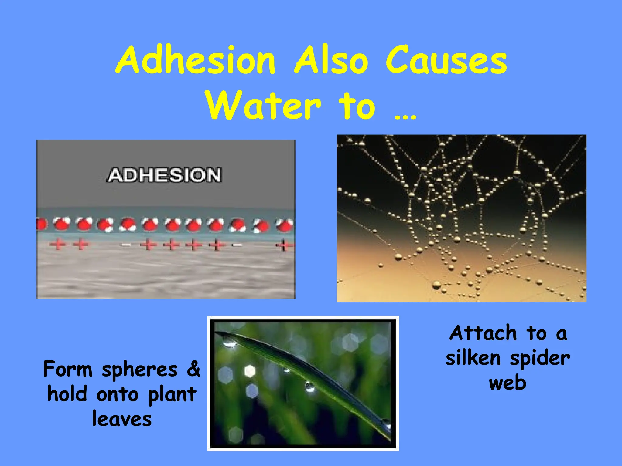 Properties of water notes.ppt.pptx Properties of water notes.ppt.pptx