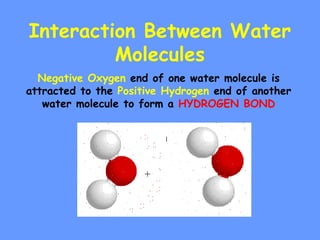 Properties of water notes.ppt.pptx Properties of water notes.ppt.pptx