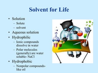 Properties of water ppt | PPT