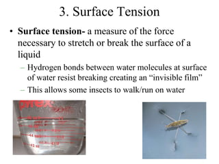 Properties of Water pp with activity.ppt