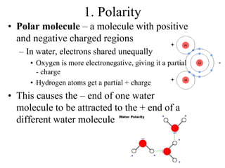 Properties of Water pp with activity.ppt