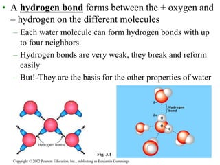 Properties of Water pp with activity.ppt