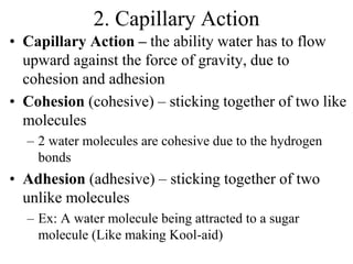 Properties of Water pp with activity.ppt