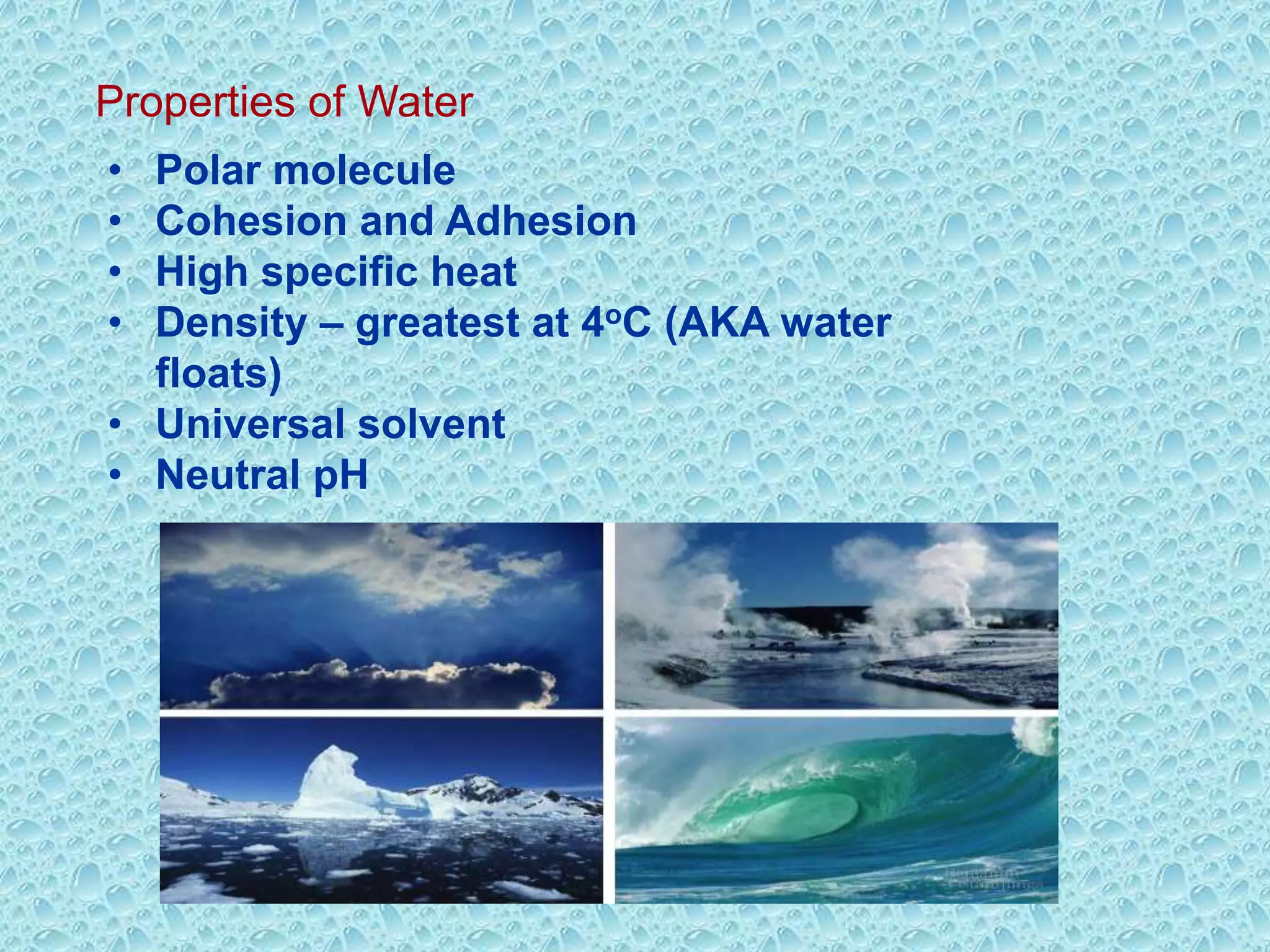 Properties of Water Presentation | PPTX