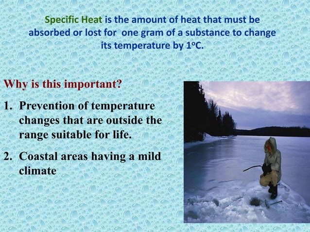 Properties of Water Presentation | PPTX