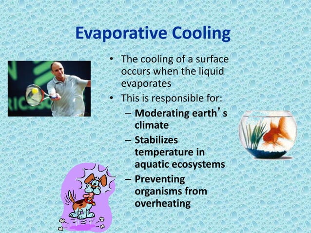 Properties of Water Presentation | PPTX