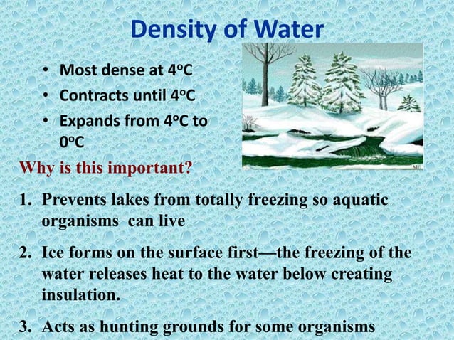 Properties of Water Presentation | PPTX
