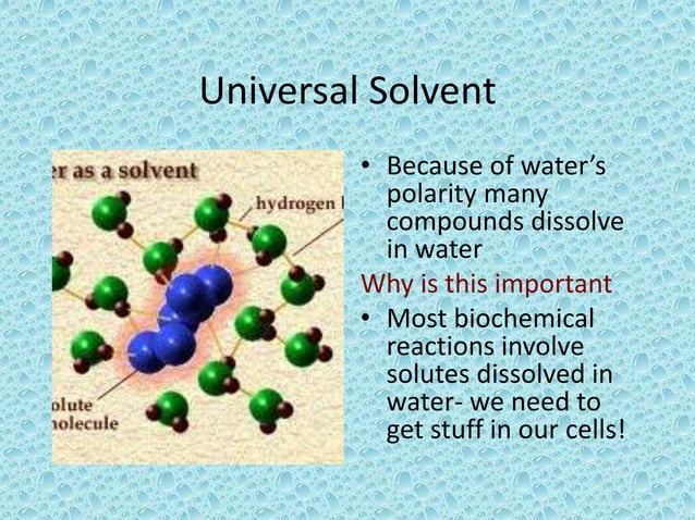 Properties of Water Presentation | PPTX