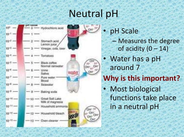 Properties of Water Presentation | PPTX