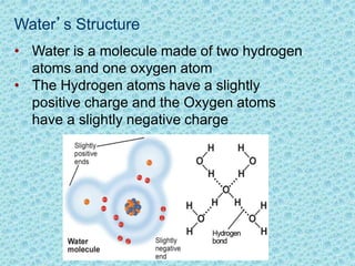 Properties of Water Presentation | PPTX