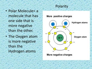 Properties of Water Presentation | PPTX