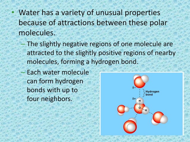 Properties of Water Presentation | PPTX