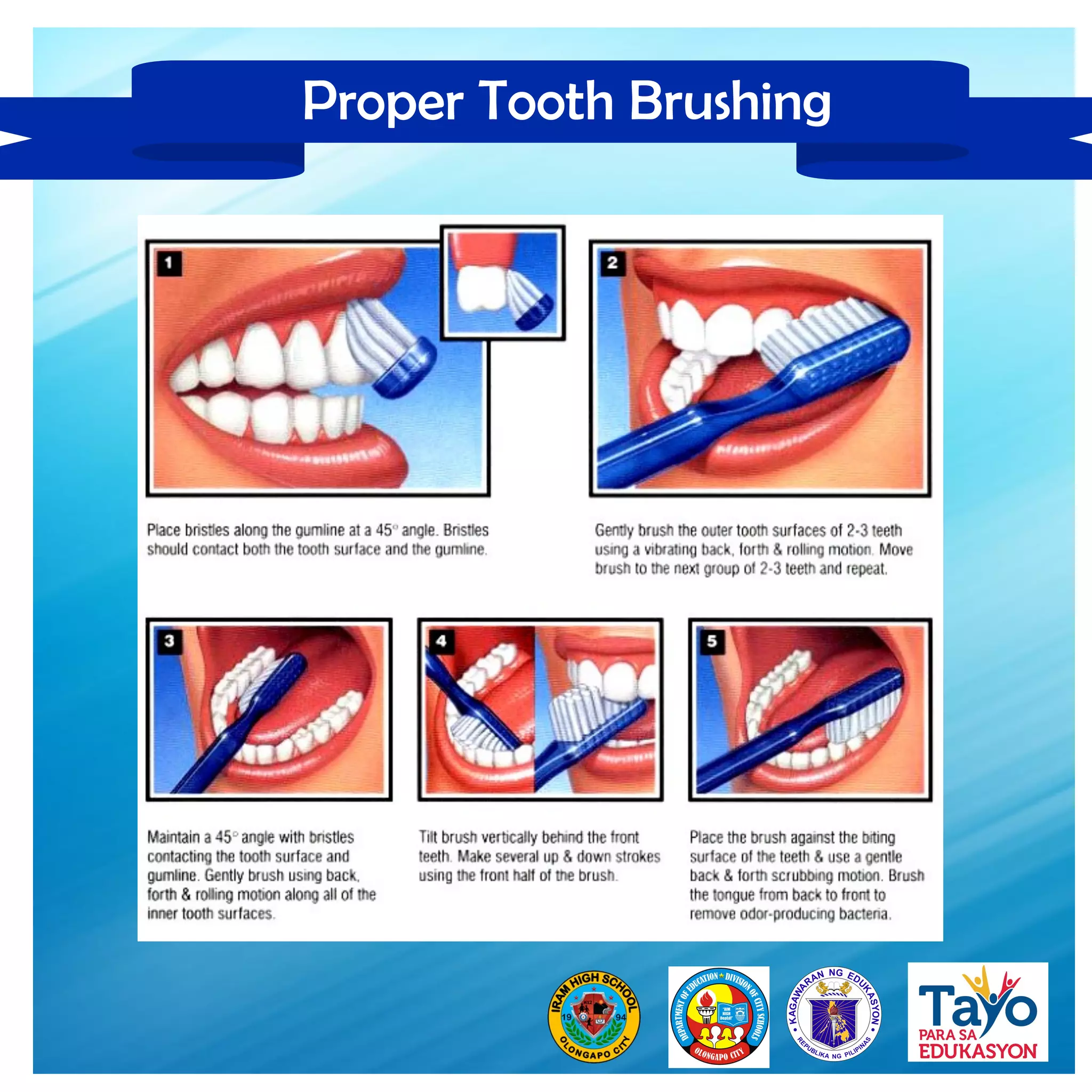 Proper tooth brushing [2x2] | PDF