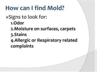 A Guide to Mold Prevention for Property Management and HOAs | PPTX ...