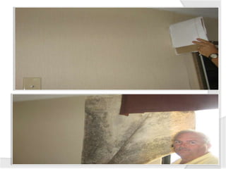 A Guide to Mold Prevention for Property Management and HOAs | PPTX