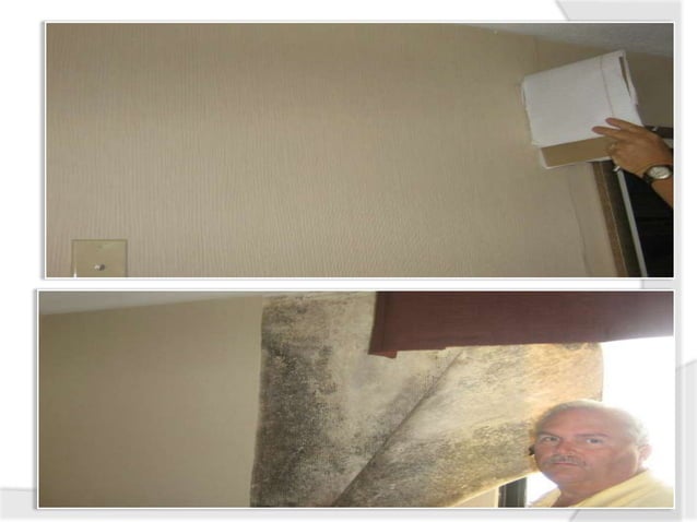 A Guide to Mold Prevention for Property Management and HOAs | PPTX ...