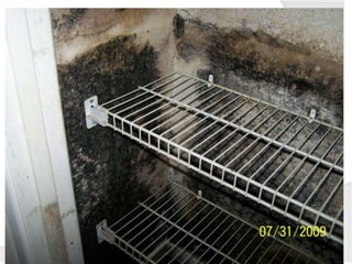 A Guide to Mold Prevention for Property Management and HOAs | PPTX ...